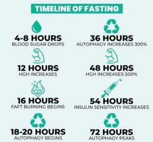 Intermittent Fasting 101 - Eat Fit Get Fit